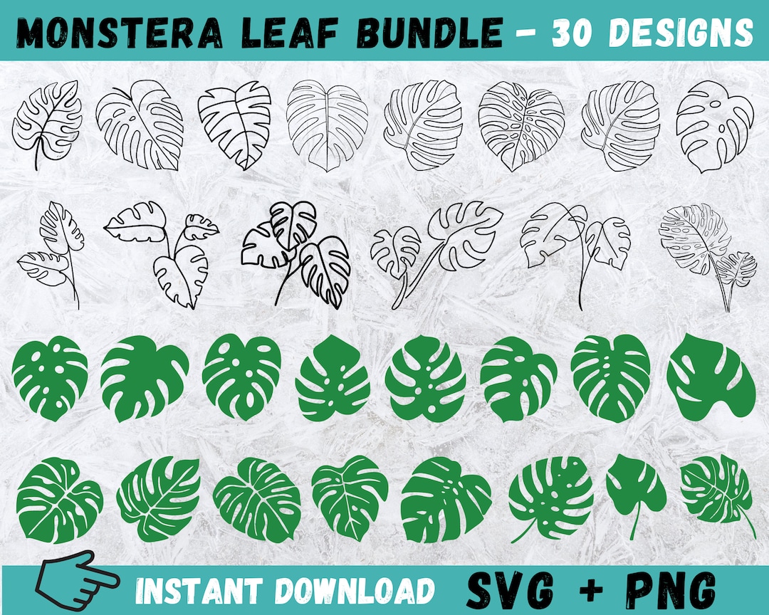 Monstera Leaf SVG, Tropical Leaf Cricut, Tropical Leaf Silhouette, Monstera Clipart, Tropical ...