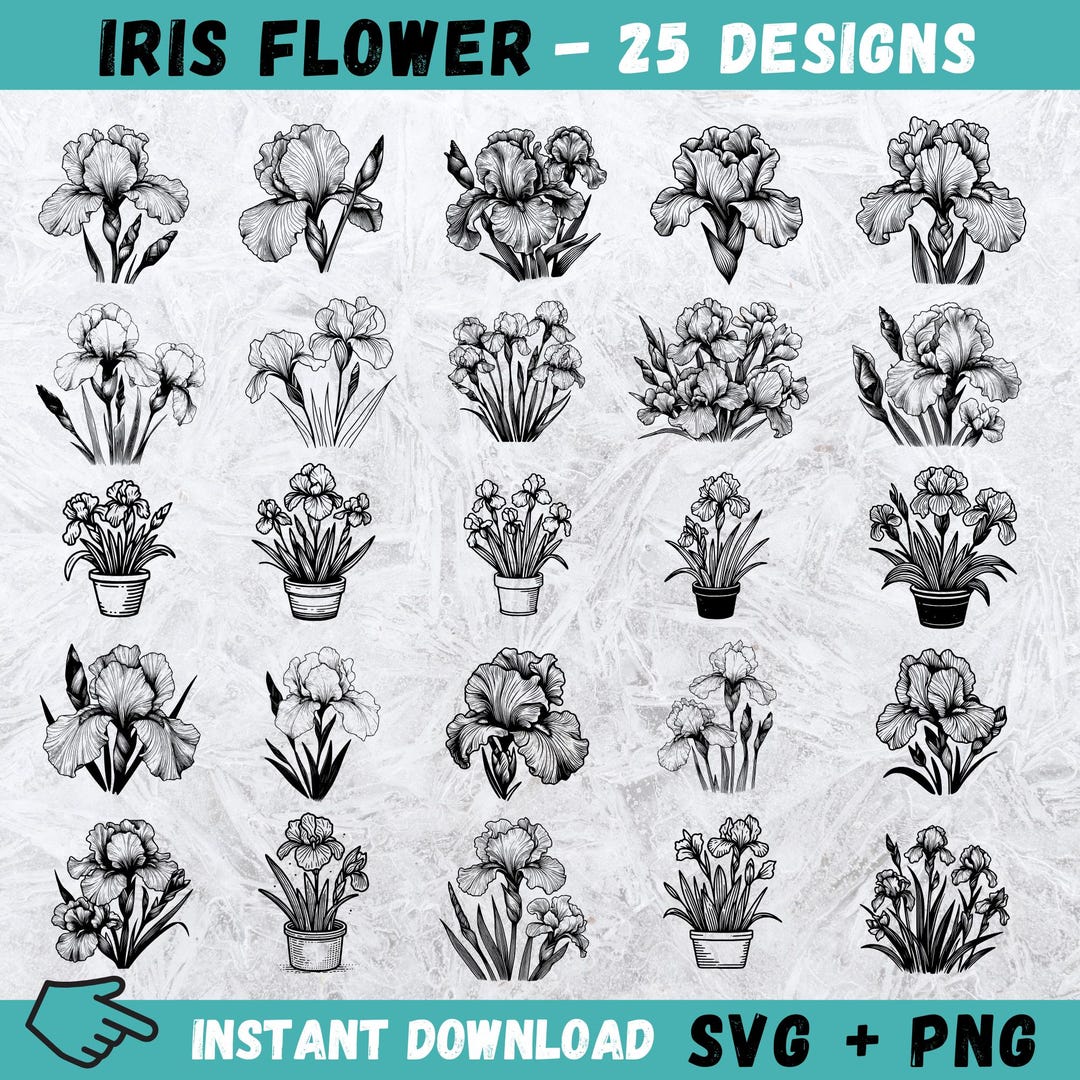 Iris Flower SVG Bundle, Iris Cricut, Flower Clipart, Iris Flower ...
