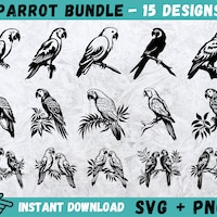 Parrot Svg Bundle, Parrot Silhouette, Parrot Kids, Parrot Cricut ...