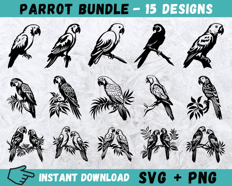 Parrot SVG Clipart Bundle: Hand Drawn Bird Silhouette (instant Download ...