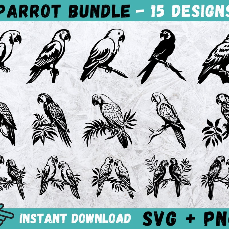 Vector Pattern Parrot - Etsy UK
