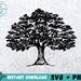 Oak Tree SVG Tree Svg Big Tree Svg Oak SVG Outdoor SVG - Etsy