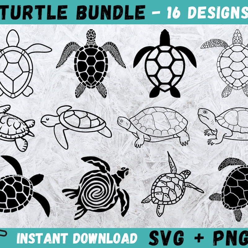 Turtle Svg - Etsy