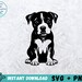 Pitbull SVG Bundle: Hand Drawn Dog Vector Clipart (24 Designs) - Etsy