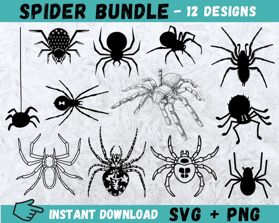 Spider SVG Bundle, Spider SVG, Spider Clipart, Spider Design, Spider ...