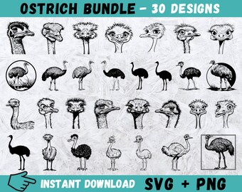 Ostrich SVG Bundle, Ostrich Cricut, Cartoon Ostrich Svg, Zoo Animal ...