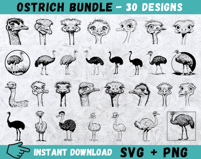 Angry Ostrich Clipart Vector Graphic Svg Png Jpg Eps African Animal ...