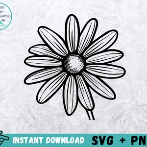 Daisy SVG Bundle: Hand-drawn Floral Clipart (instant Download) - Etsy