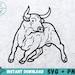 Bull SVG Bundle: Hand-drawn Designs (digital Download) - Etsy