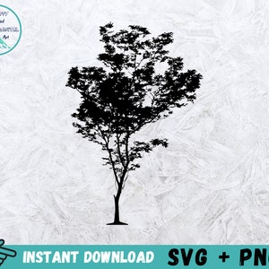 Realistic Tree SVG, Forest SVG, Tree Cricut, Tree Silhouette, SVG Cut ...