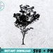 Realistic Tree SVG, Forest SVG, Tree Cricut, Tree Silhouette, SVG Cut ...