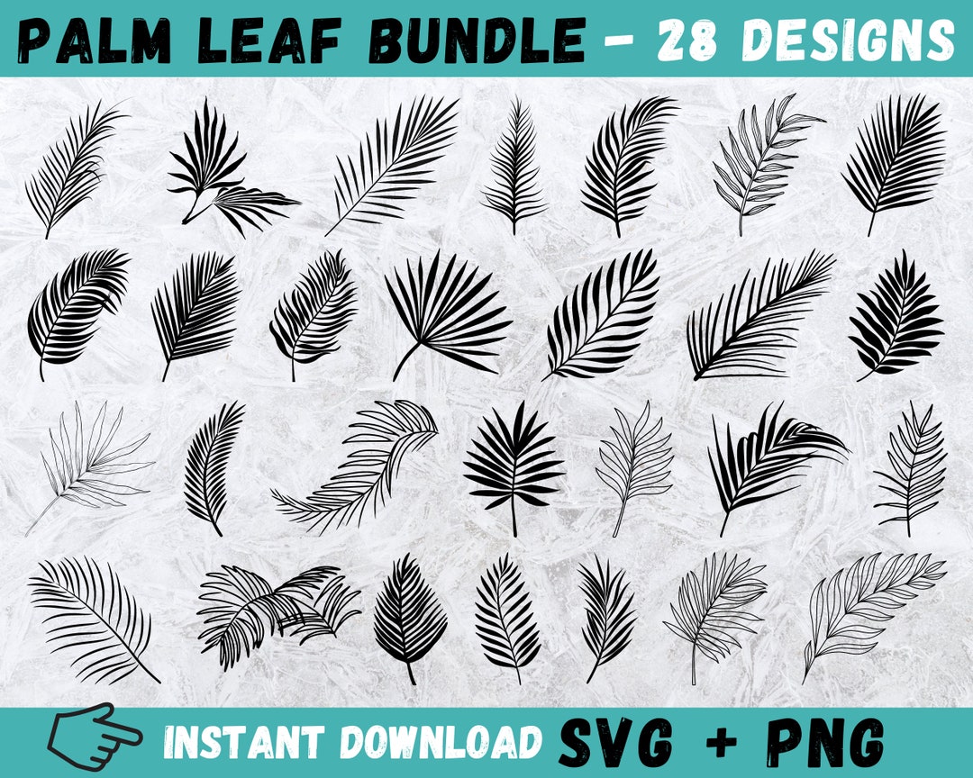 Palm Leaf SVG, Palm Leaves Svg, Hand Drawn Leaves Svg, Palm Leaf Cricut ...