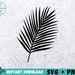 Palm Leaf SVG, Palm Leaves Svg, Hand Drawn Leaves Svg, Palm Leaf Cricut ...
