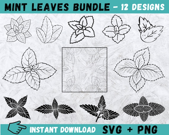 Clipart Mint Leaf