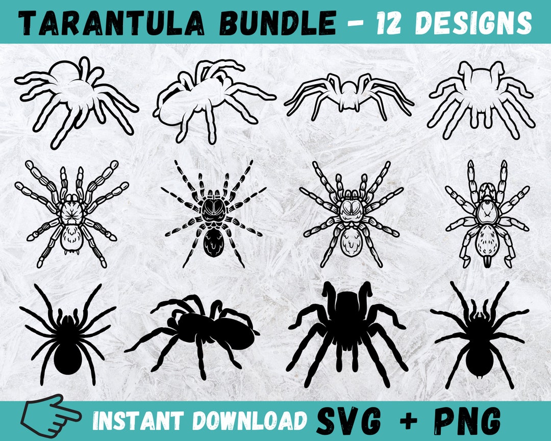 Tarantula SVG, Spider Svg, Spider Clipart, Tarantula Clipart, Spider ...