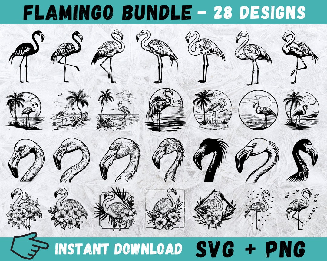 Flamingo SVG, Flamingo Cut File, Flamingo Cricut, Flamingo Vector ...