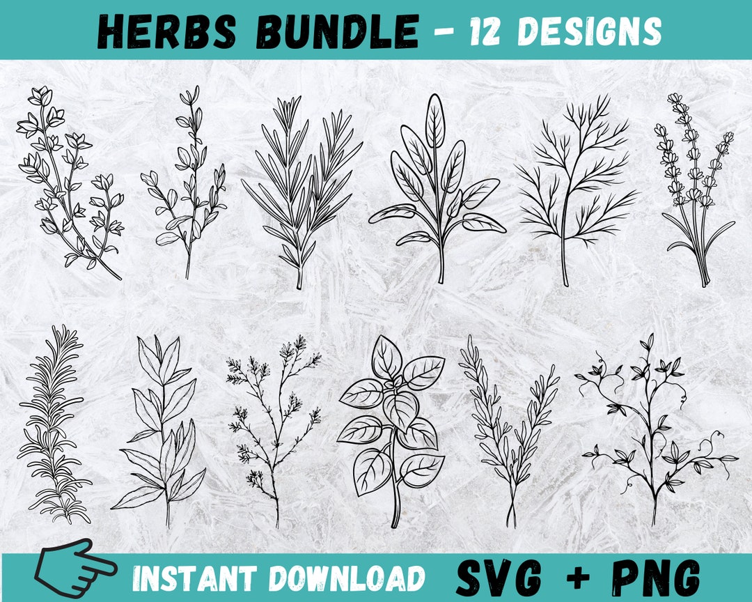 Herb SVG Bundle: Hand-drawn Plant Designs (digital Download) - Etsy