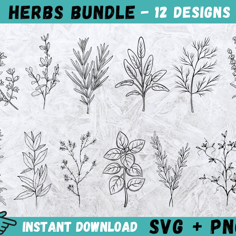 Herbs - Etsy