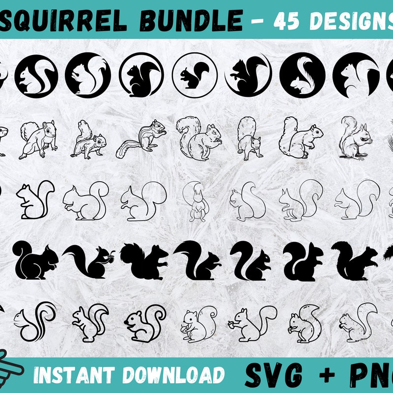 Squirrel Svg - Etsy