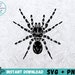 Tarantula SVG Spider Svg Spider Clipart Tarantula Clipart - Etsy