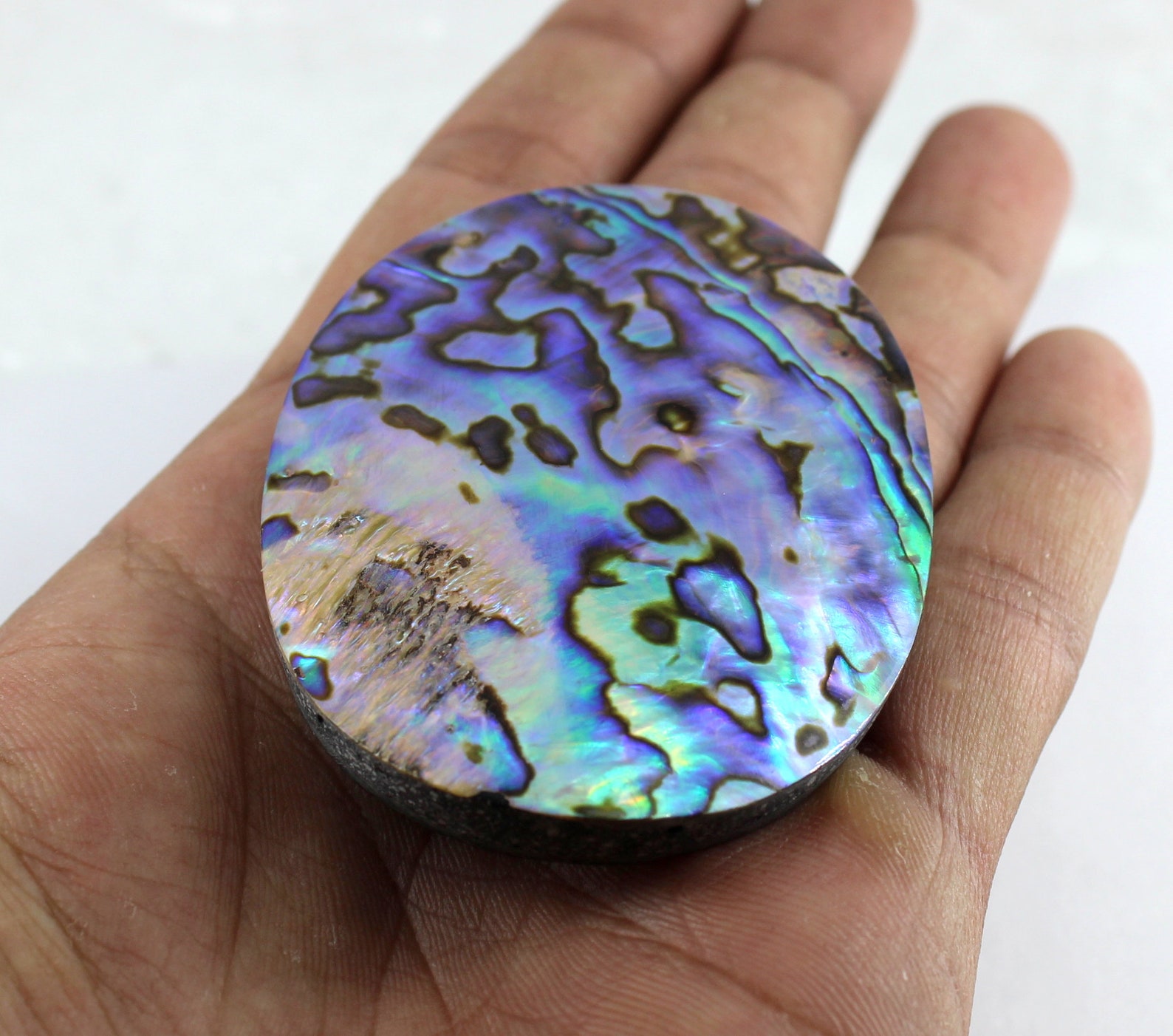Excellent High Quality Abalone Shell Rainbow Color Abalone | Etsy