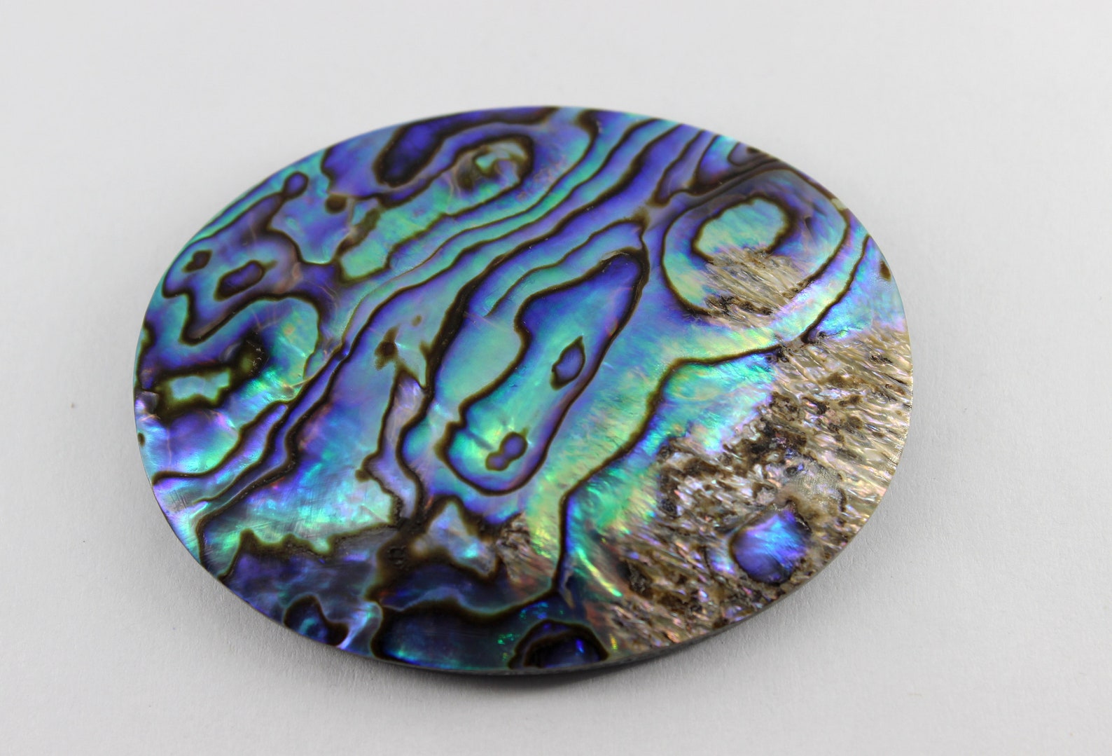 Outstanding High Quality Abalone Shell Rainbow Color Abalone | Etsy