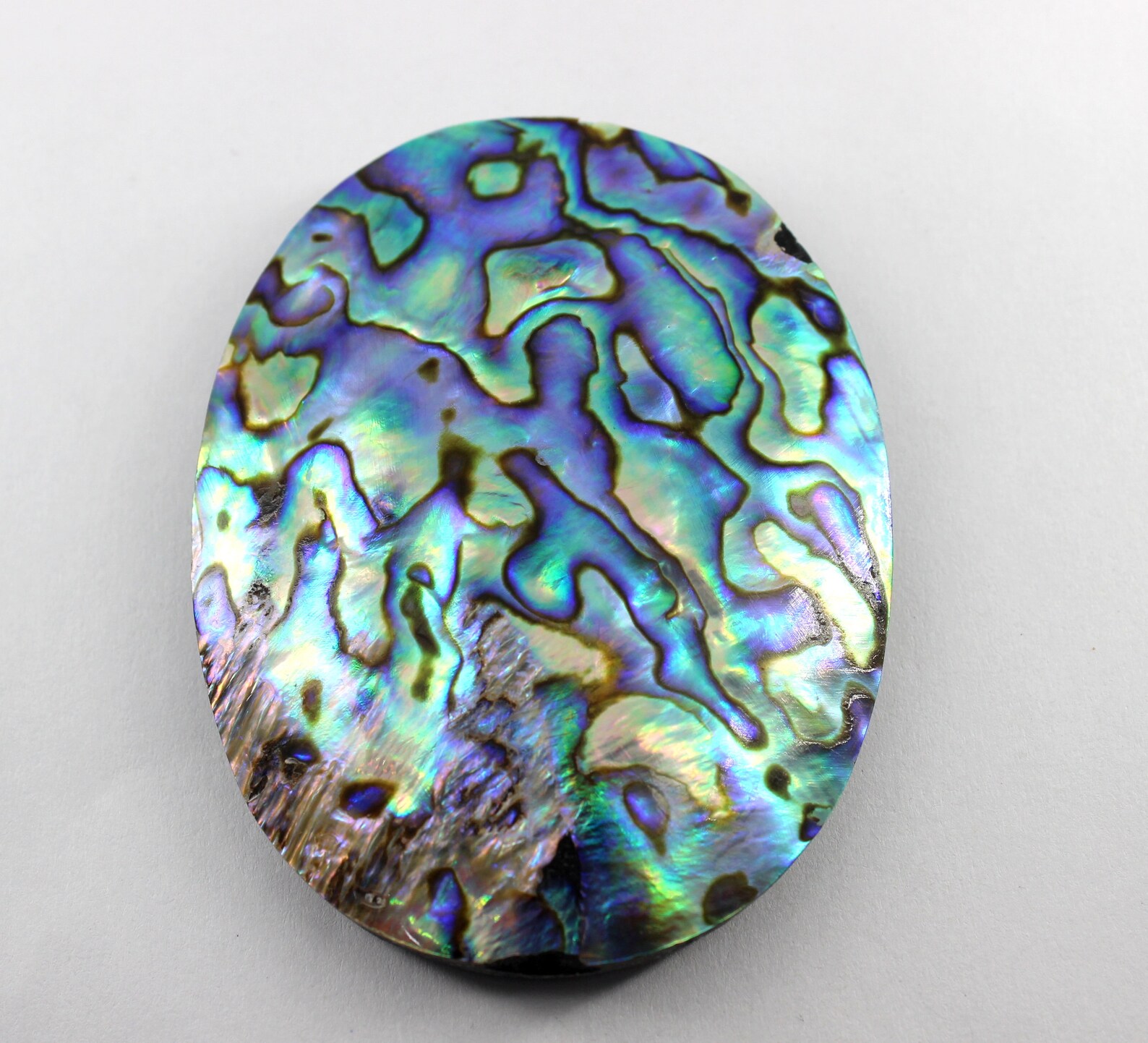 Amazing High Quality Abalone Shell Rainbow Color Abalone Shell | Etsy