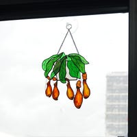 Pitcher Plant - Etsy