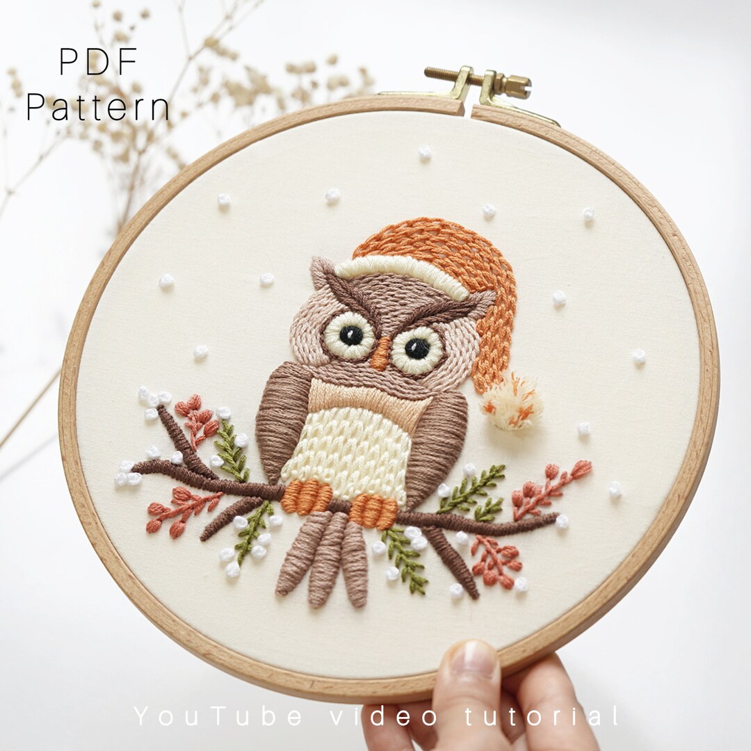 PDF Pattern Video Tutorial/clever Owl-embroidery - Etsy