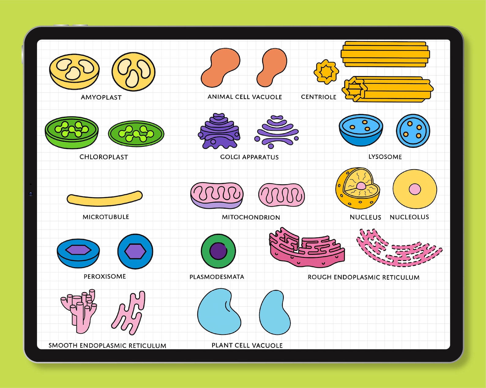 Cell Structure Digital Sticker Pack, Pre-cropped Cell Biology and ...