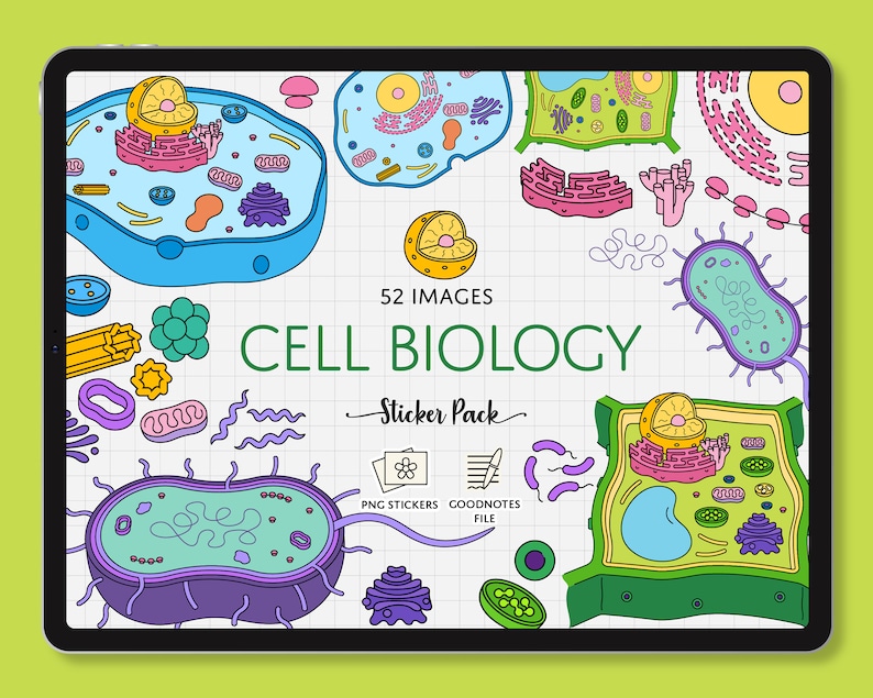 Cell Structure Digital Sticker Pack, Pre-cropped Cell Biology and ...