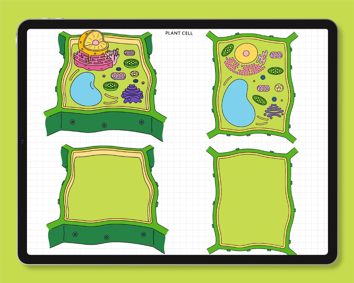 Cell Structure Digital Sticker Pack, Pre-cropped Cell Biology and ...