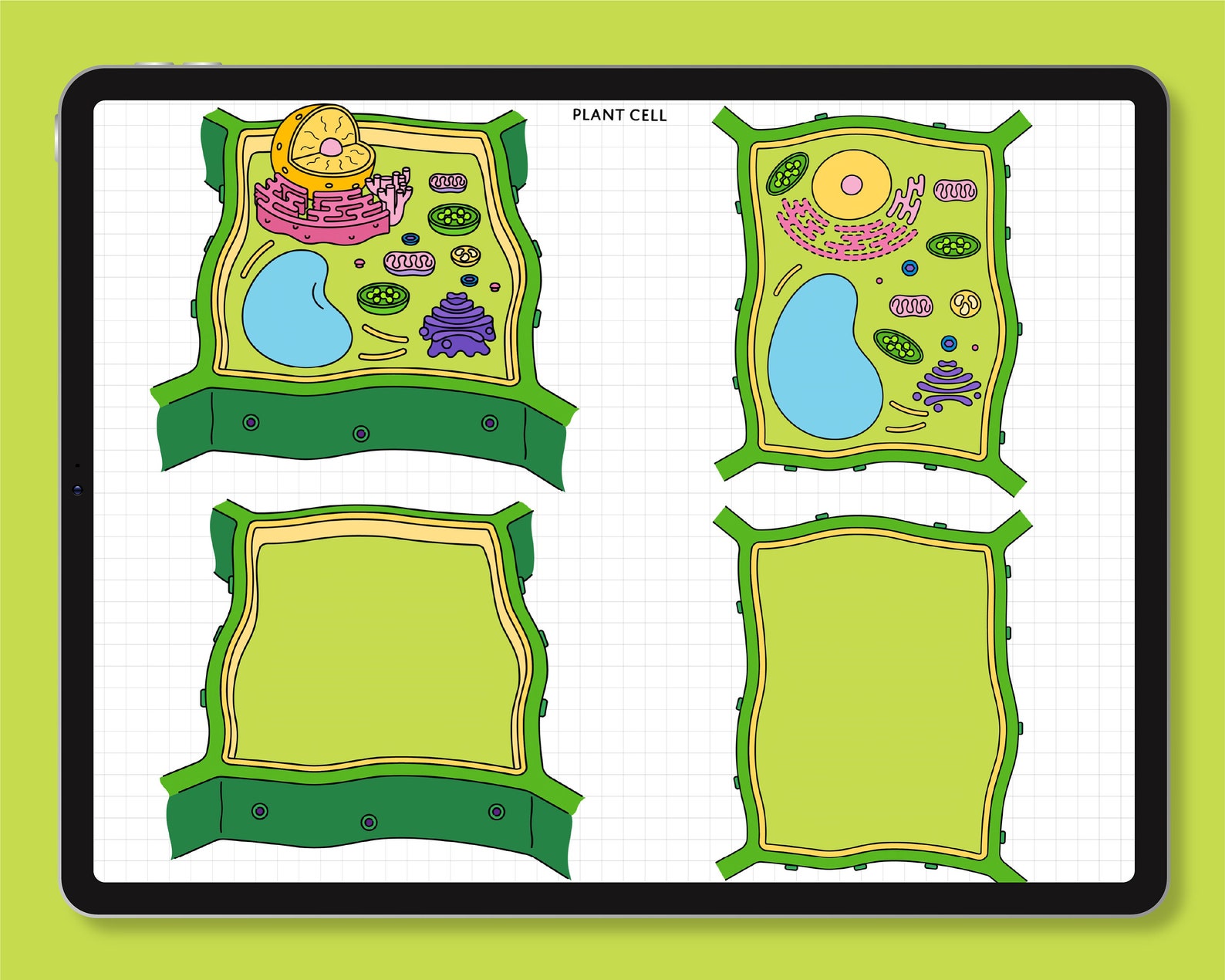 Cell Structure Digital Sticker Pack, Pre-cropped Cell Biology and ...