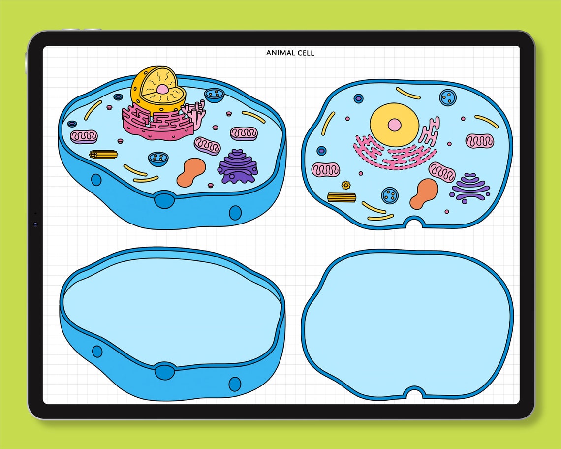 Cell Structure Digital Sticker Pack, Pre-cropped Cell Biology and ...