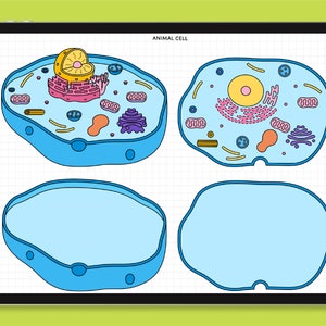 Cell Structure Digital Sticker Pack, Pre-cropped Cell Biology and ...
