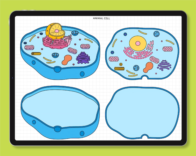 Cell Structure Digital Sticker Pack, Pre-cropped Cell Biology and ...