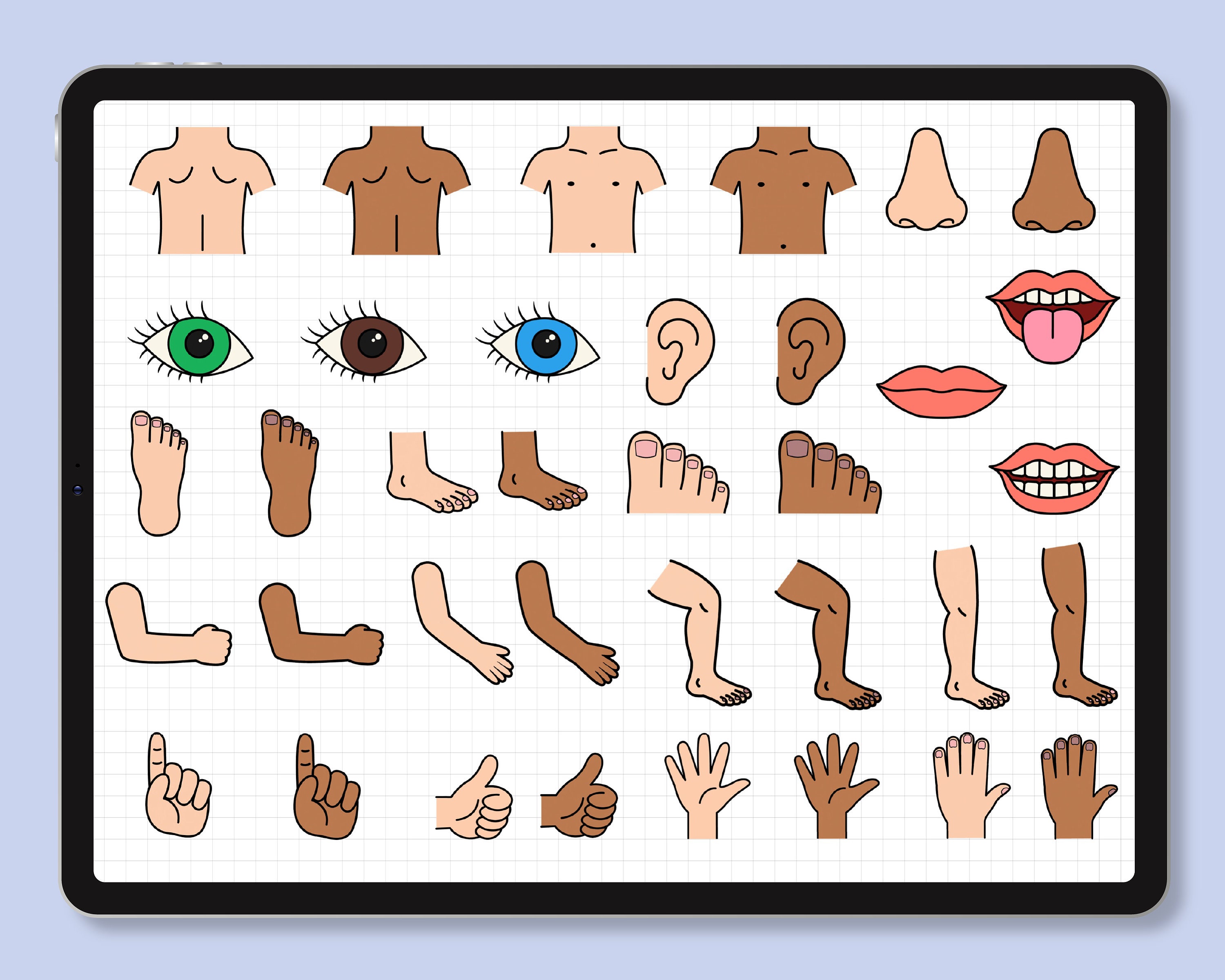 Anatomy Digital Sticker Pack, Pre-cropped Human Body Stickers, Internal ...