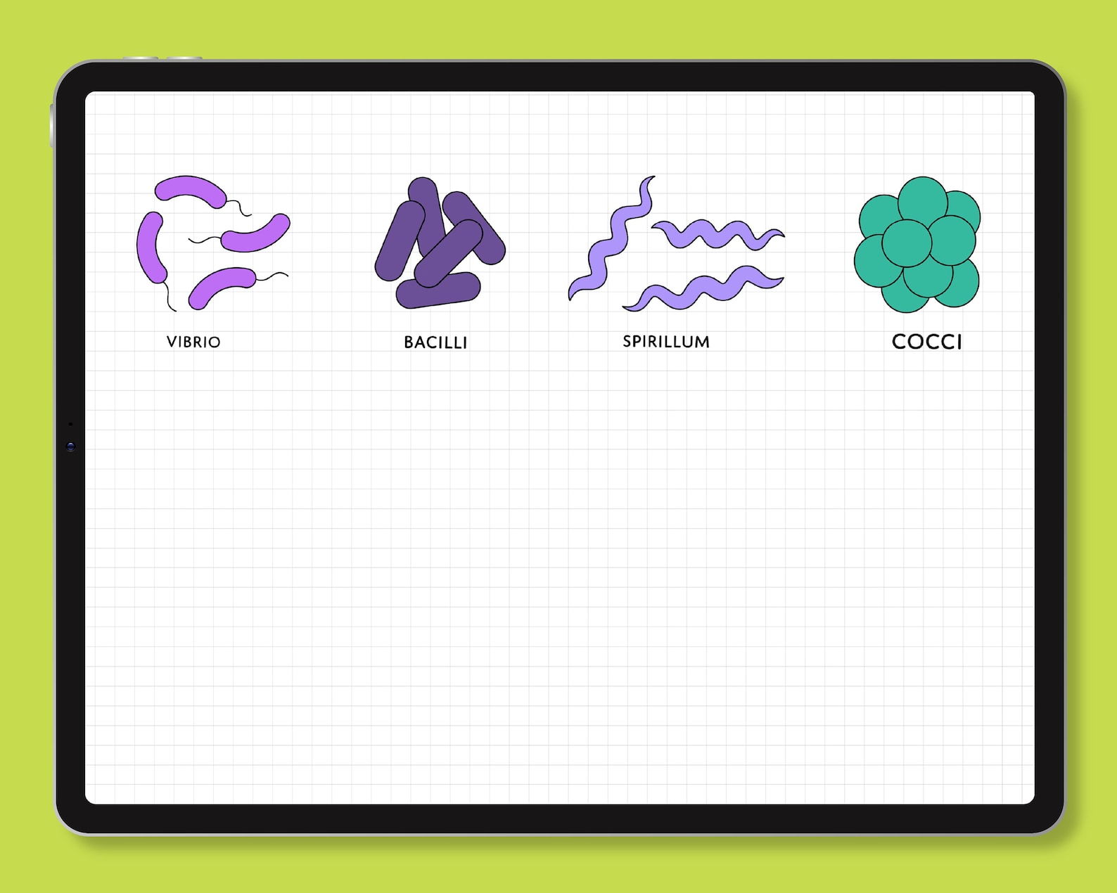 Cell Structure Digital Sticker Pack, Pre-cropped Cell Biology and ...
