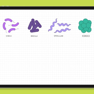 Cell Structure Digital Sticker Pack, Pre-cropped Cell Biology and ...