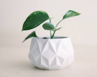 3d Printed Air Plant Holder - Etsy Canada