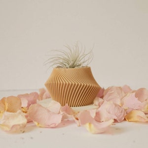 Modern Geometric Patterned Planter 3D Printed Air Plant Holder ...