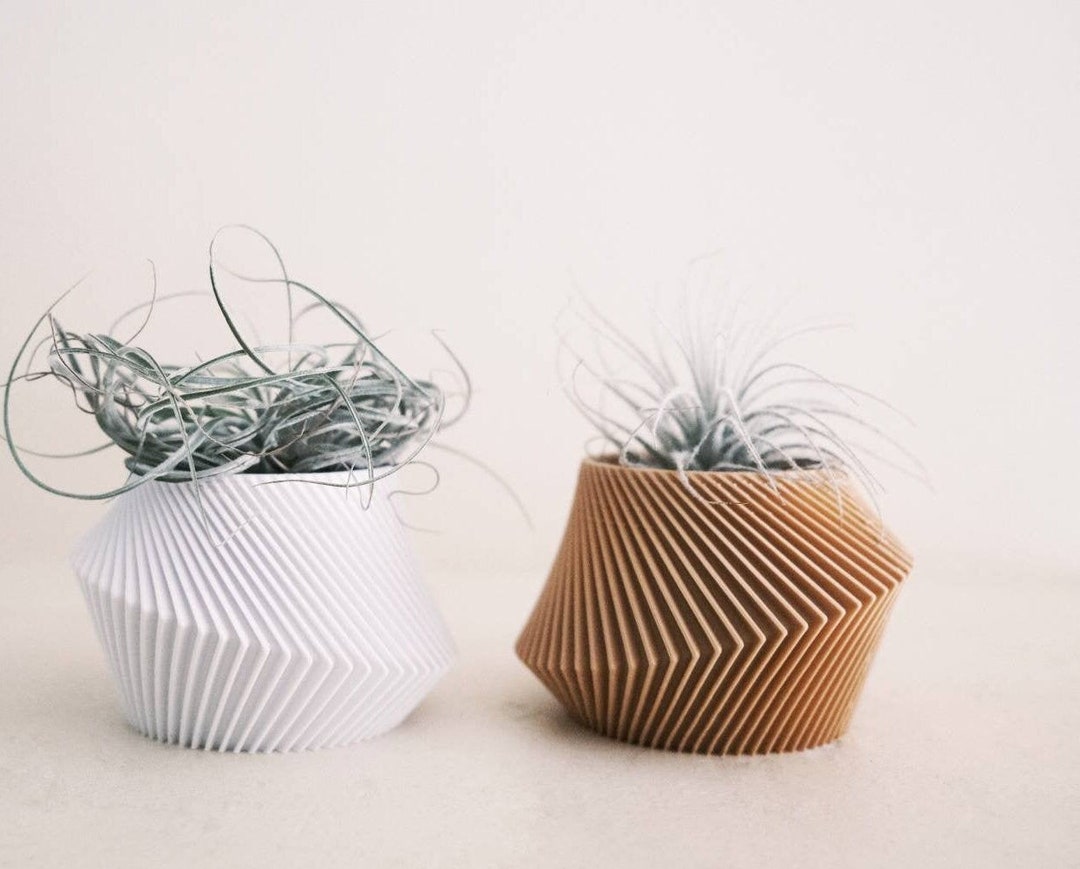Modern Geometric Patterned Planter 3D Printed Air Plant Holder ...