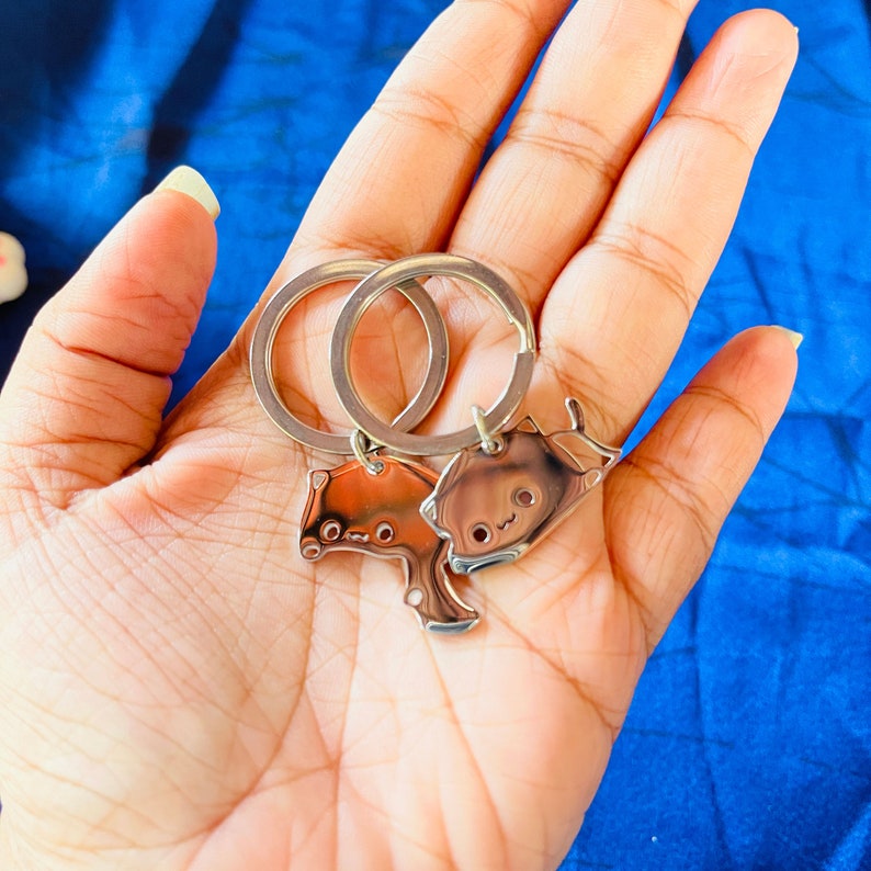 2pcs Peach and Goma Keychain, Cute Stainless Steel Lovely Cats Key ...