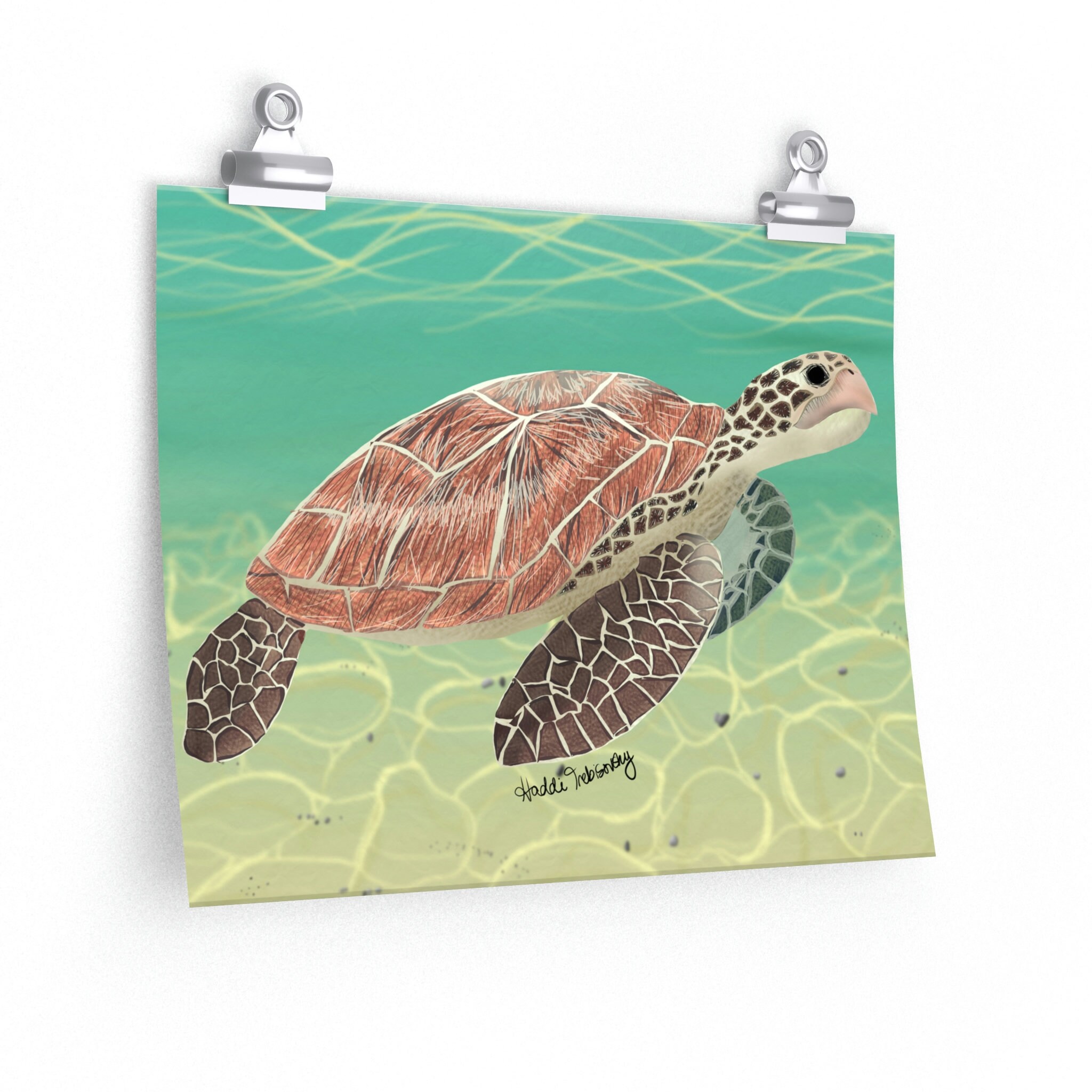 Sea Turtle Premium Matte Poster - Etsy