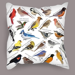 North American Backyard Birds Digital Print - 15" Square Bird ...