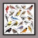 North American Backyard Birds Art Print – Birdwatcher Chart (digital ...