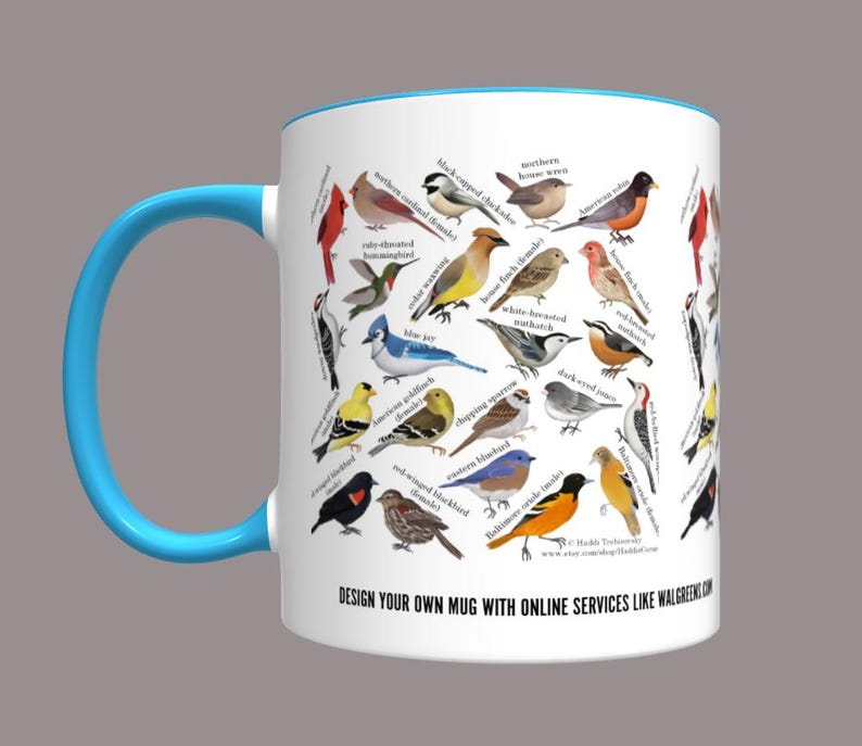 North American Backyard Birds Digital Print - 15" Square Bird ...