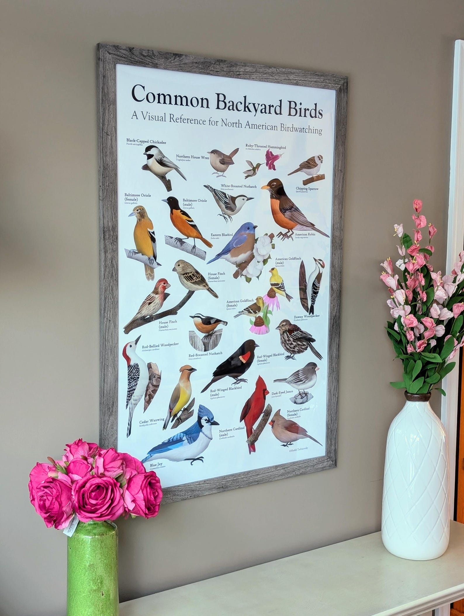 Backyard Birds Identification Chart | DIGITAL FILE | Printable Bird ...