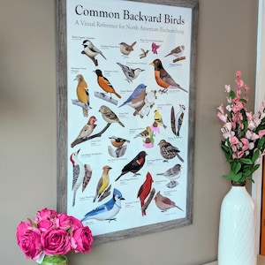 Backyard Birds Identification Chart | DIGITAL FILE | Printable Bird ...