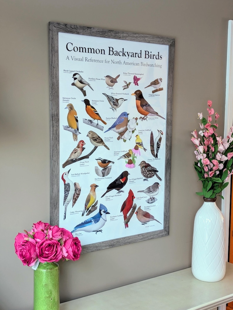 Backyard Birds Identification Chart | DIGITAL FILE | Printable Bird ...
